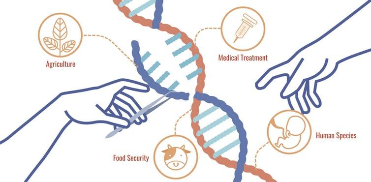 Here's What We Know About CRISPR Safety | Live Science