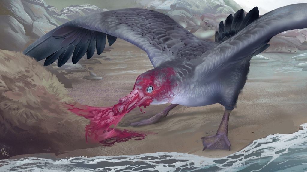 3 million years ago, this brutish giant petrel likely eviscerated dead ...