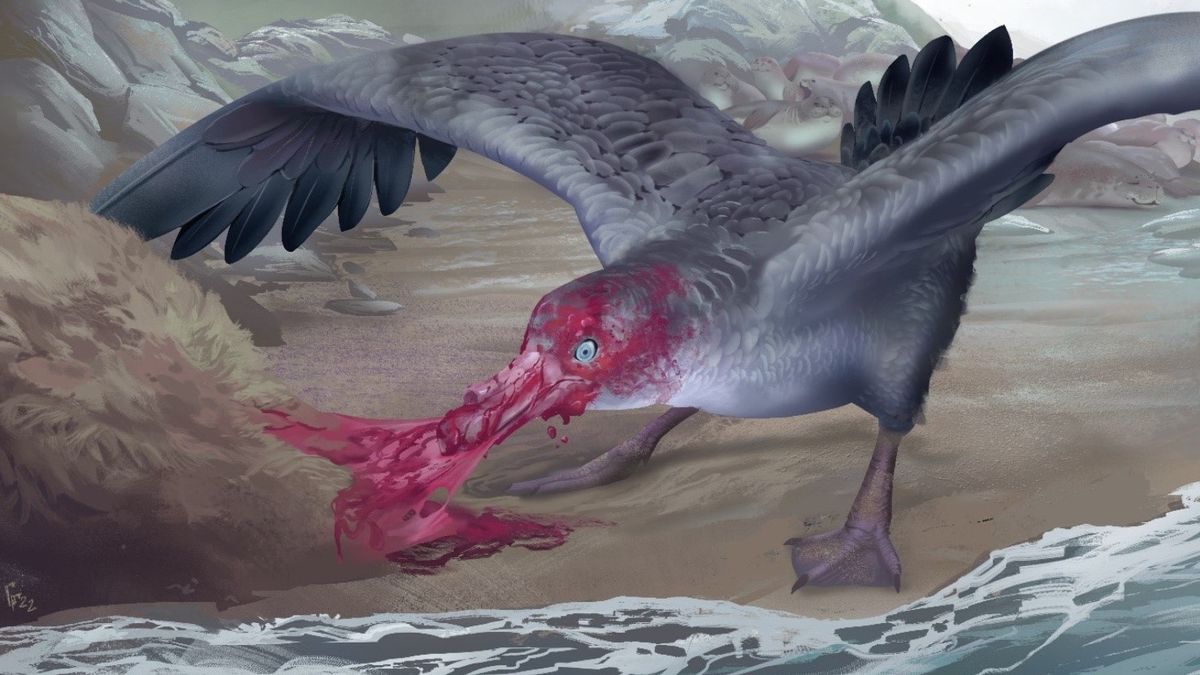 3 million years ago, this brutish giant petrel likely eviscerated dead ...