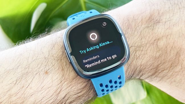 Google is promising 'new Fitbit hardware next year,' but one major ...