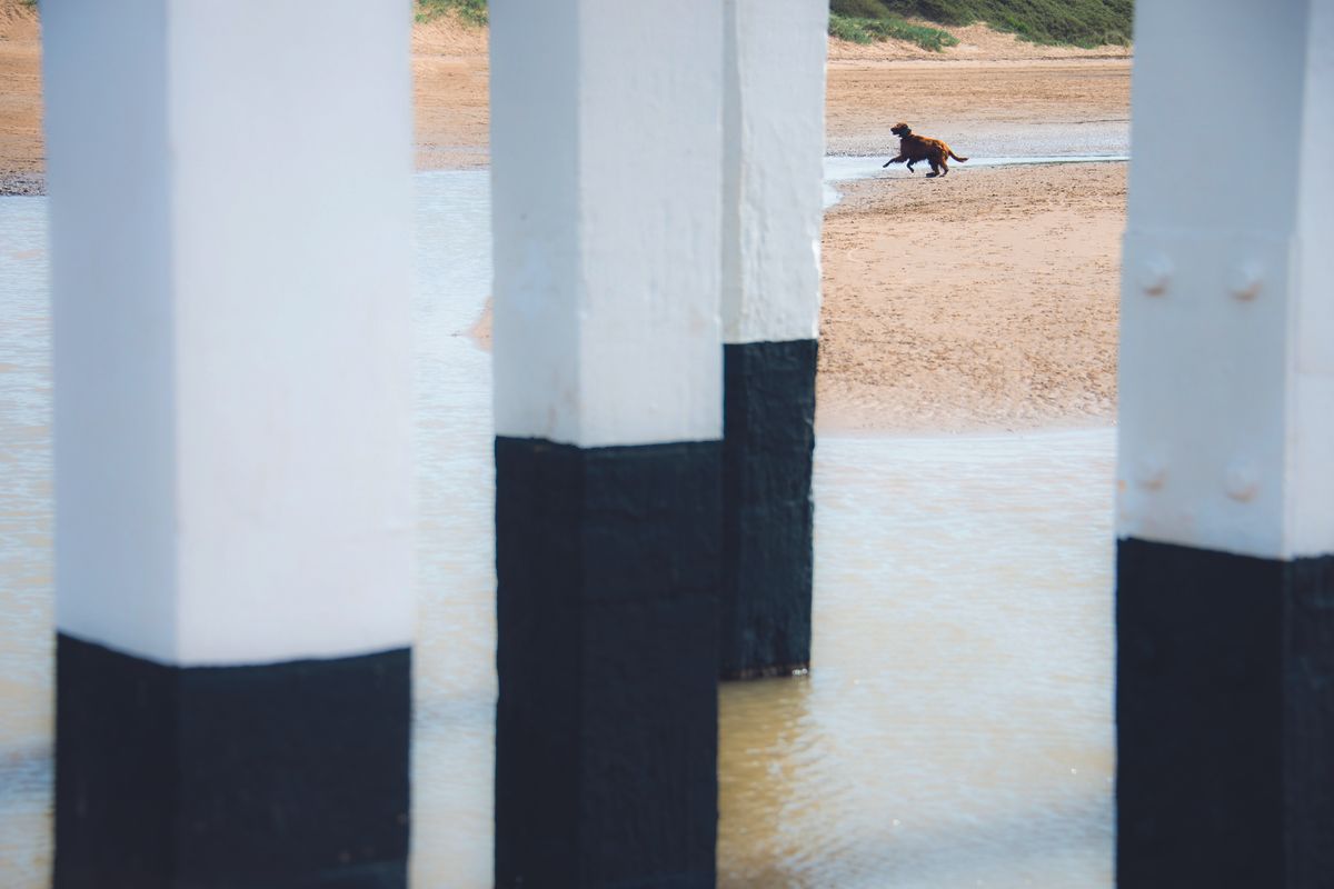 Learn to use negative space for more interesting compositions | Digital ...