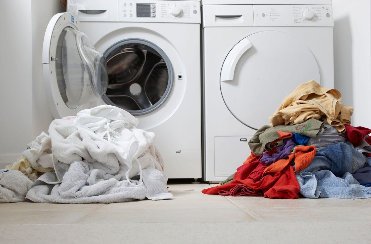 This viral photo shows exactly where all your missing socks go when you ...