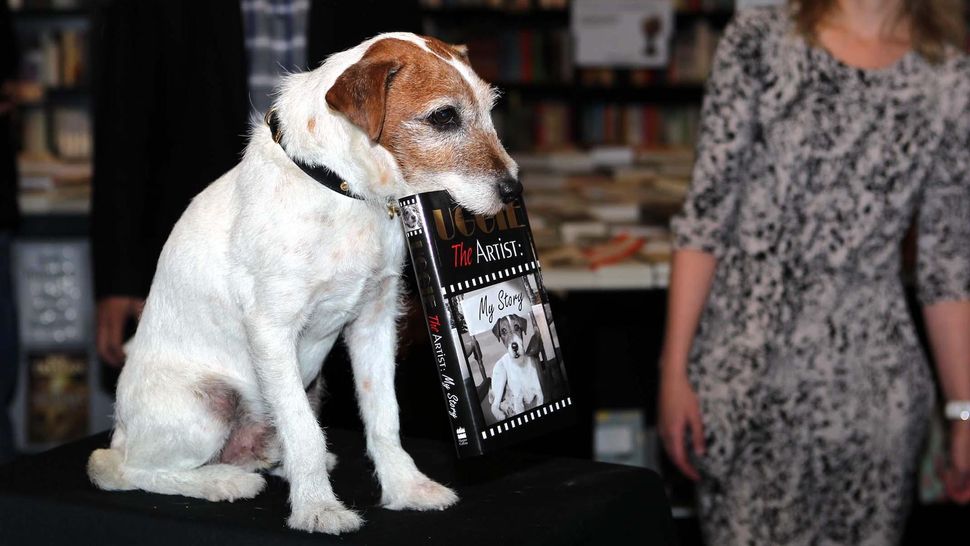 15 famous dogs (historic and current) you should know about | PetsRadar