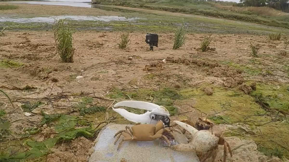 Soph96719 onlyfan saw that the renowned Chloe was coming