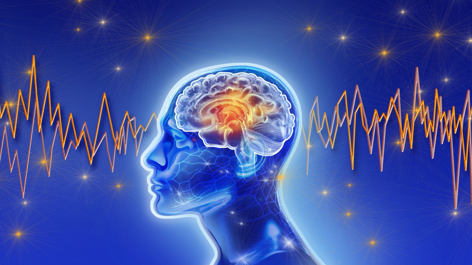 Why does your mind goes 'blank'? New brain scans reveal the surprising ...