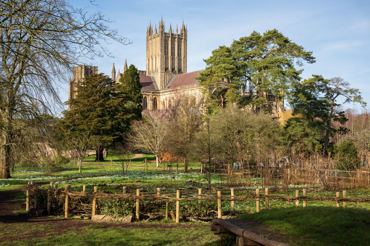 Sigma 50mm F1.4 DG DN Art review | Digital Camera World