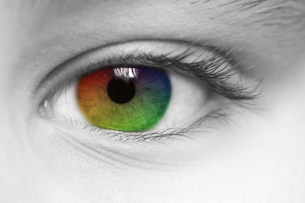 Can Blind People See Anything Live Science Can Blind People See Anything Live Science