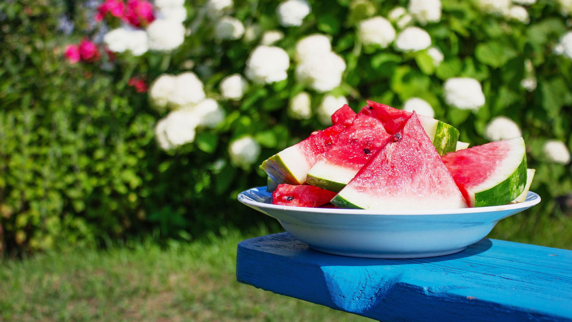 How to grow watermelon: expert tips on growing this refreshing fruit ...