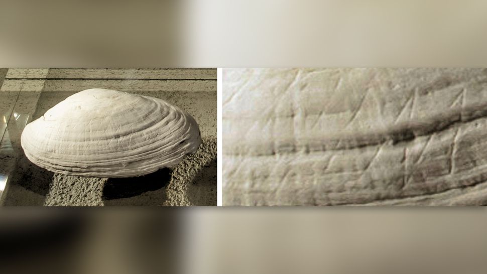 13 of the world's oldest artworks, some crafted by extinct human ...