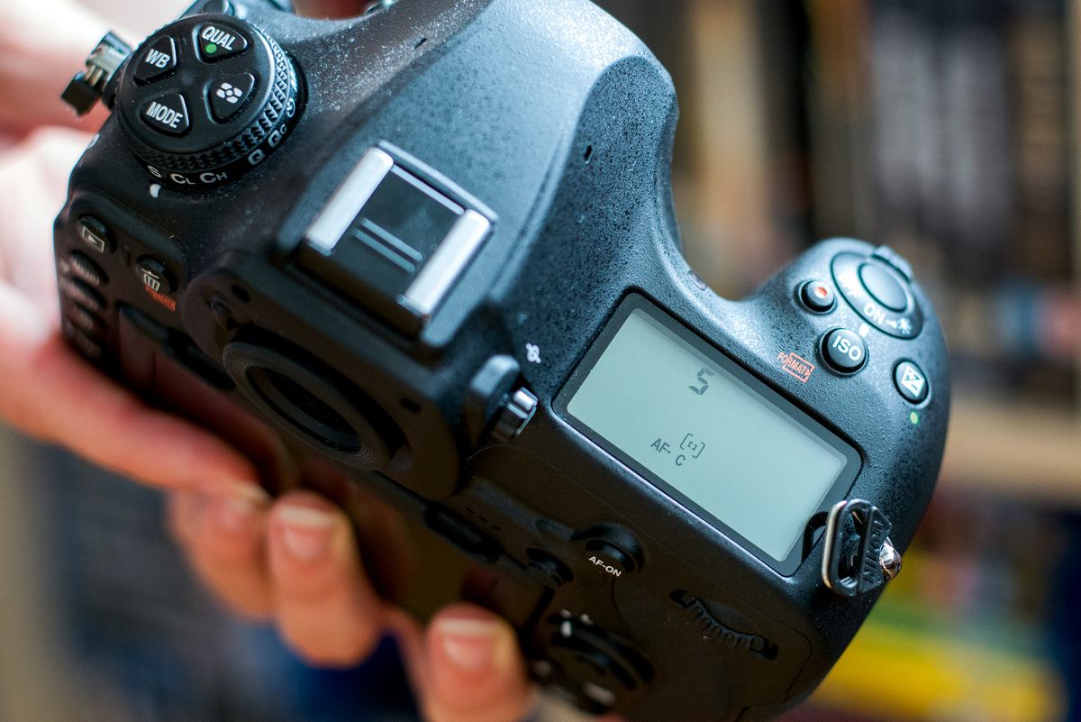 How to enable back button focus (Nikon cameras) – and why you should use it! | Digital Camera World