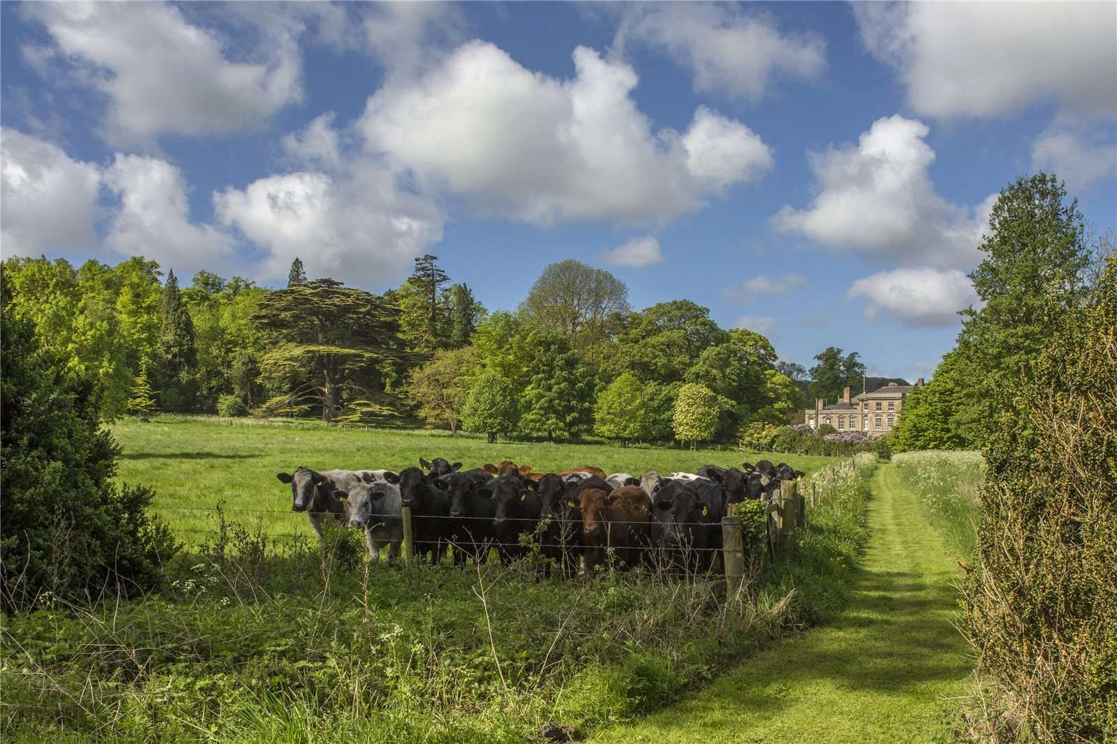 14 beautiful homes, as seen in Country Life | Country Life