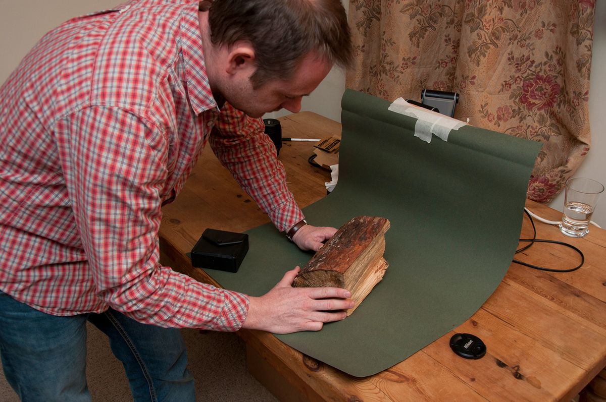 Focus stacking: how to get amazing depth of field in macro photography ...