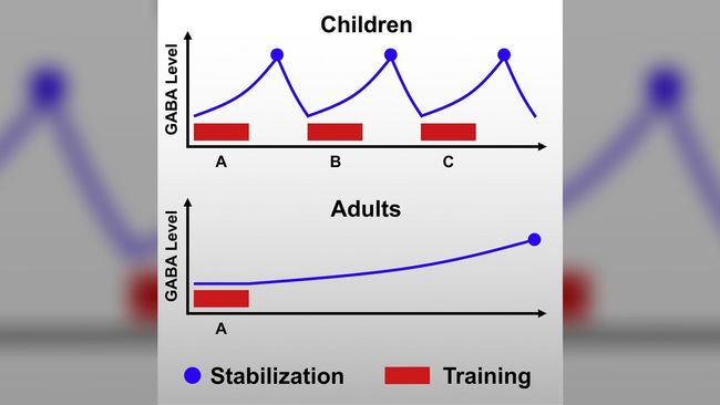 Why are kids such fast learners? | Live Science
