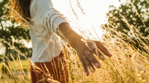 The five (and more) human senses | Live Science