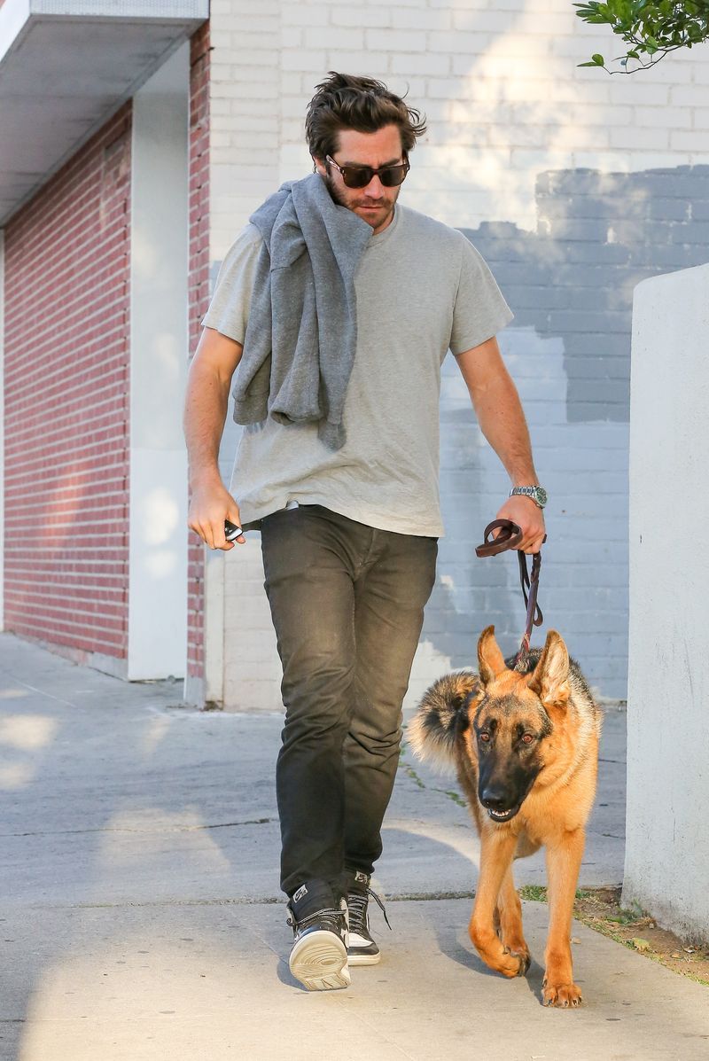 What Dog Breeds Do Celebrities Own? - Photos of Celebrities With Their ...