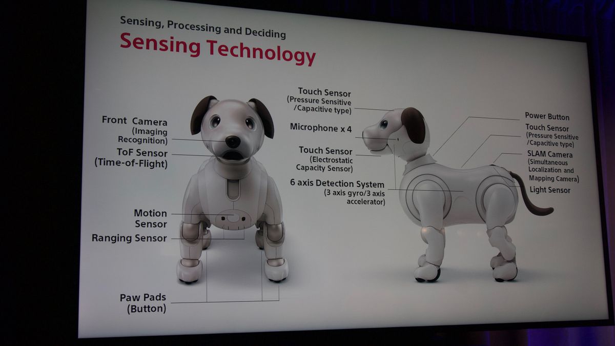 Hands on: Sony Aibo review | TechRadar