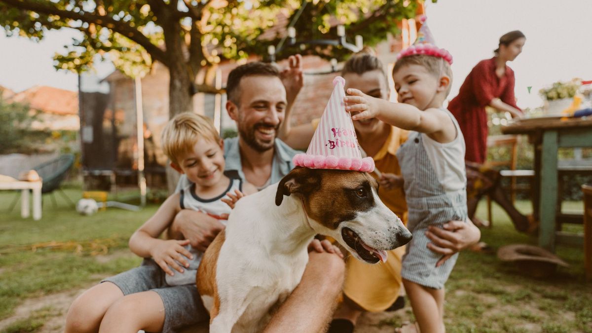 20 pet birthday ideas and ways to celebrate | PetsRadar