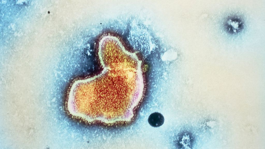 Who should get the new RSV vaccines? Here's everything you need to know ...