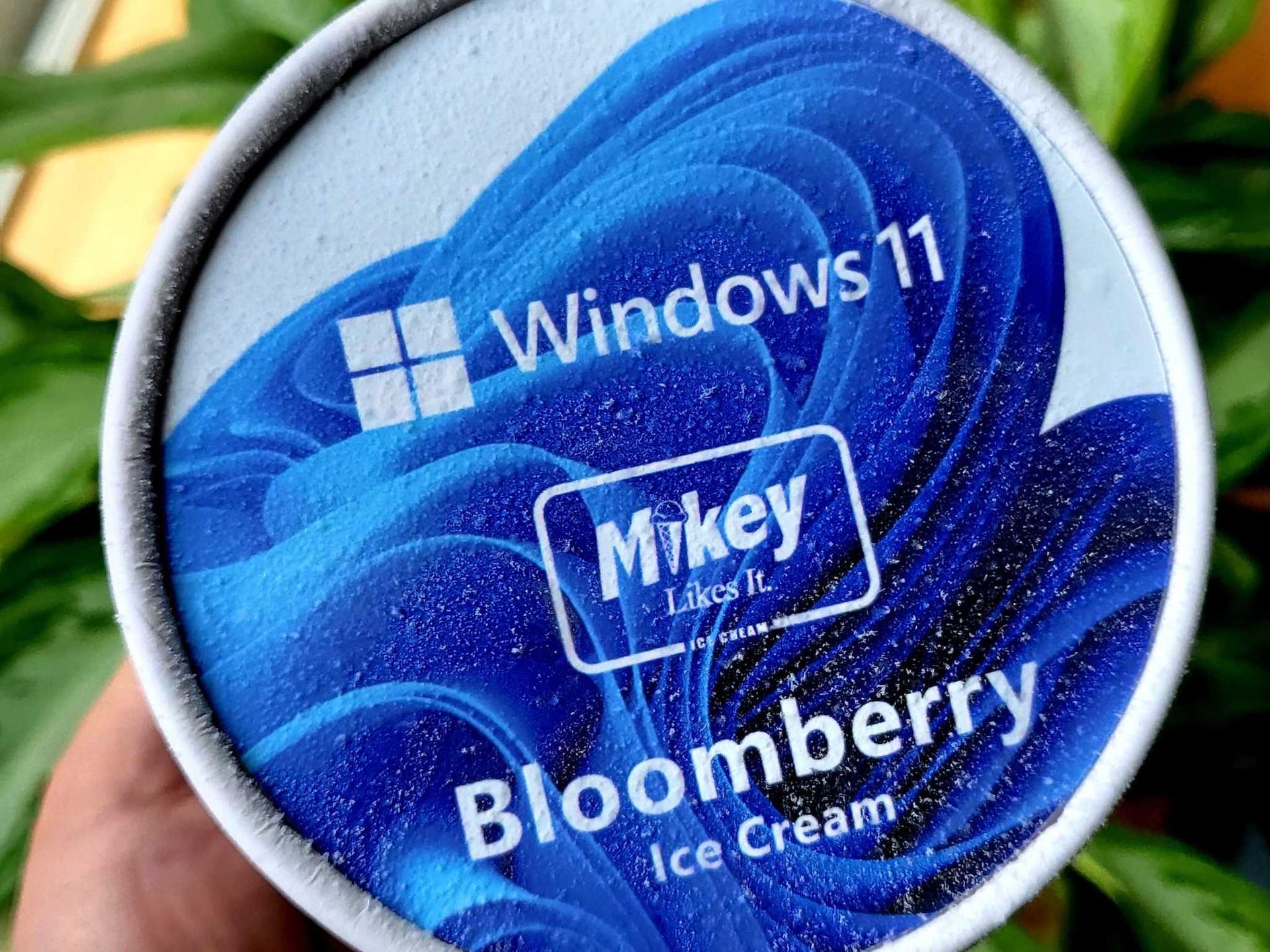 You can have Windows 11 Bloomberry ice cream right now, no TPM required ...