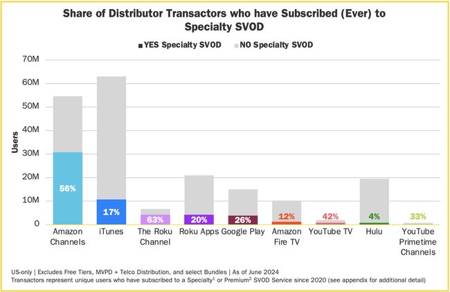 Amazon Channels Accounts for 58% of Niche Streaming Service Signups ...