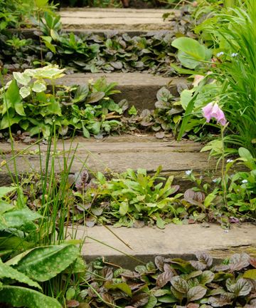 Landscaping with railroad ties: 10 clever ways to use them | Gardeningetc