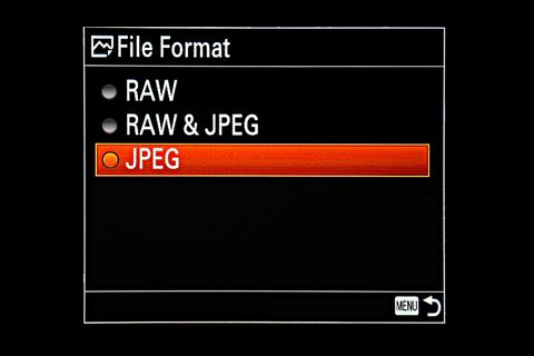 What is a JPEG file type? Why the most common image format may not be ...
