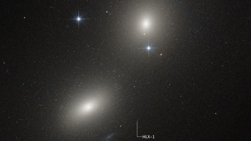 Rogue black hole found terrorizing unfortunate star in distant galaxy ...