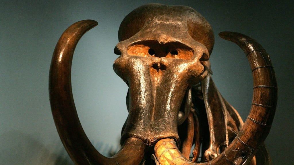 Scientists thrilled by 'stunning' discovery of mammoth tusk at bottom ...