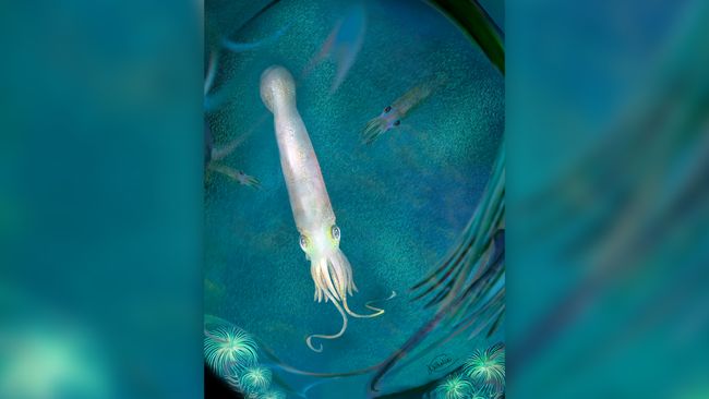 Ancient 10-armed vampire squid relative named for Joe Biden | Live Science