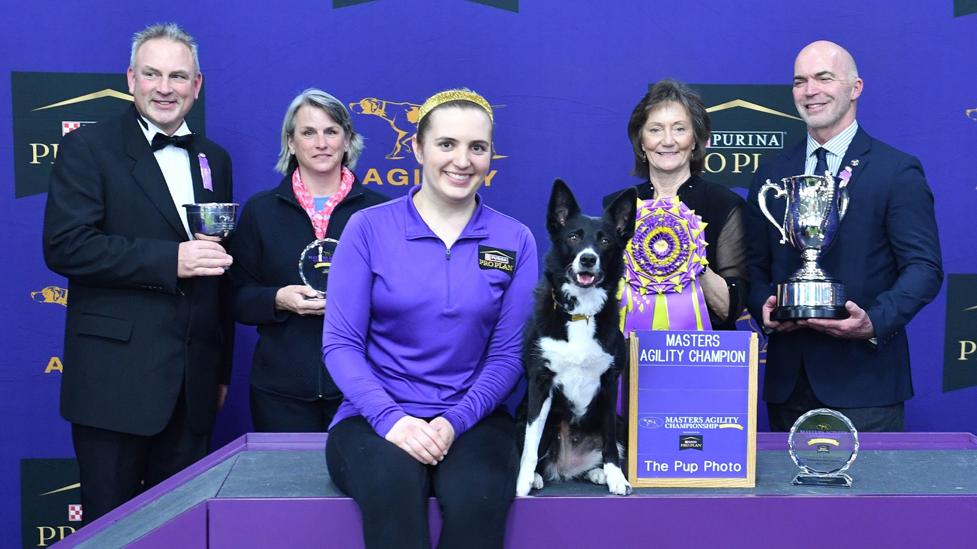 Border Collie Vanish wins the Masters Agility Championship | PetsRadar