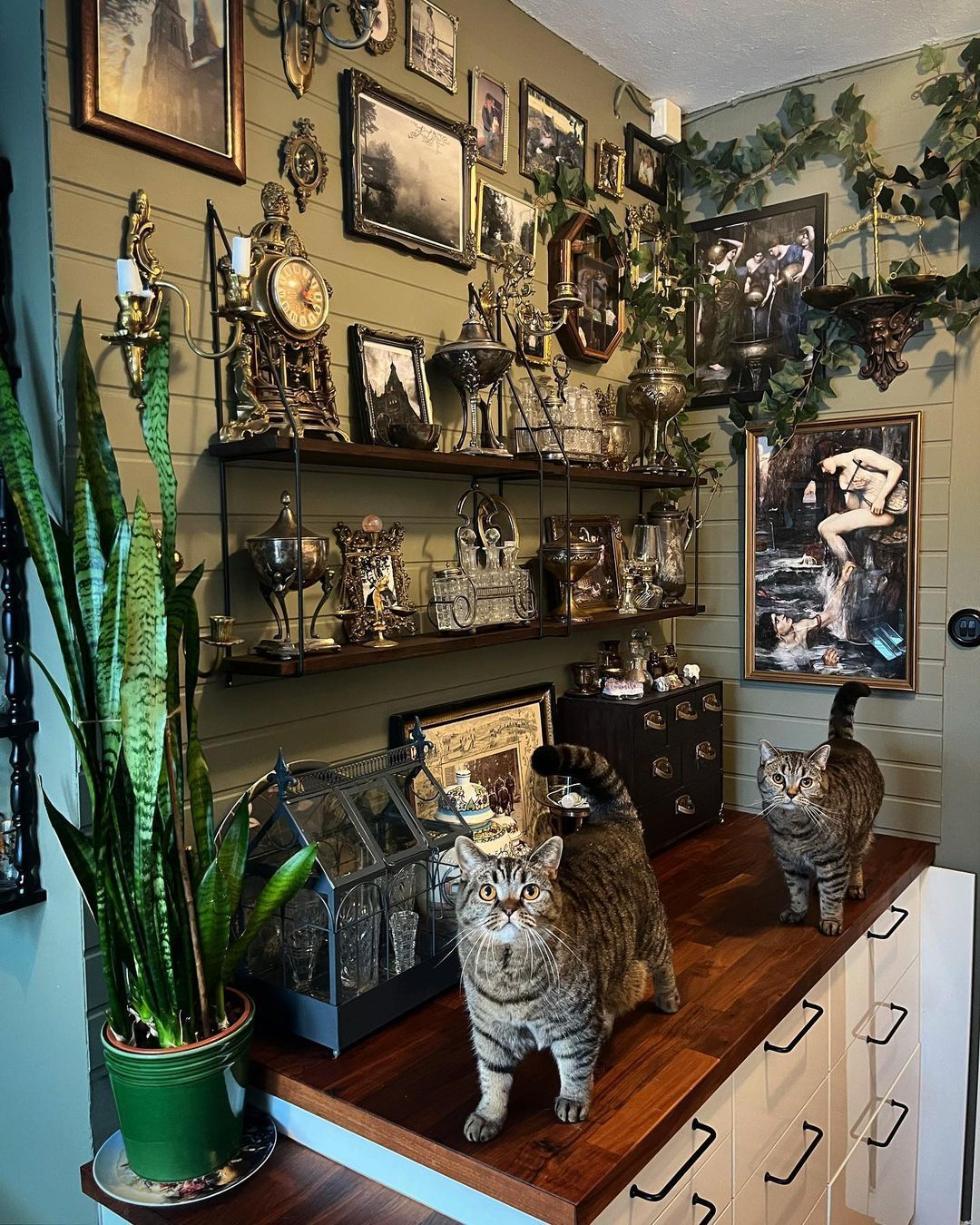 What is witchcore aesthetic? TikTok trend explained | Real Homes