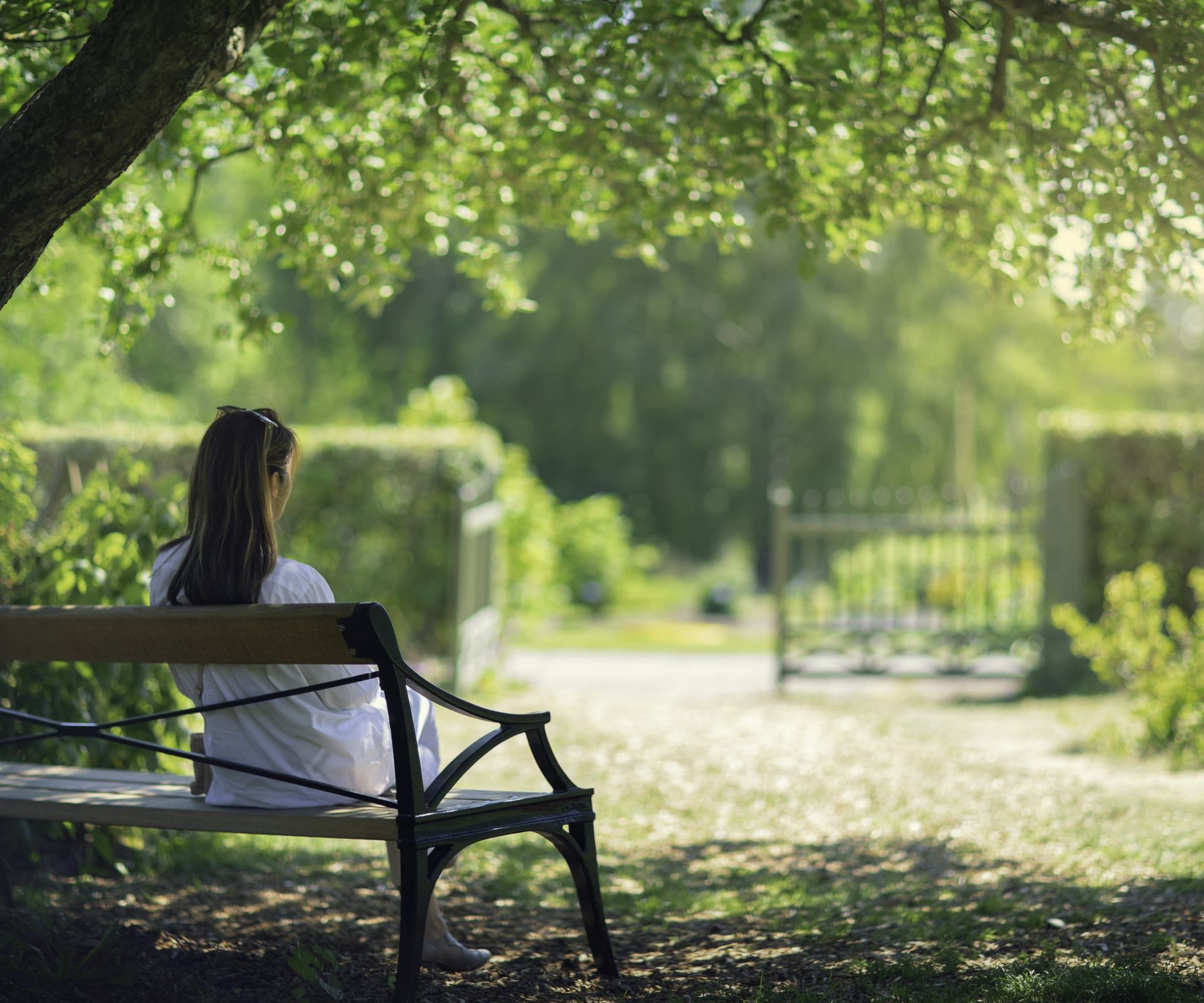 Why every gardener should know about the 3-hour gardening rule | Homes ...