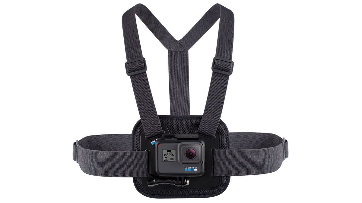 The best camera harness in 2024 | Digital Camera World