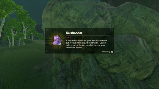 25 Legend of Zelda Breath of the Wild essential tips and tricks ...