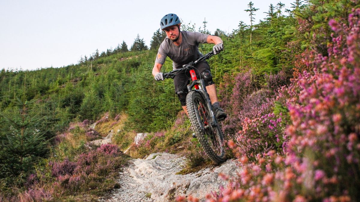 Bespoken Word – Does riding illegal singletrack and unsanctioned trails make you an MTB criminal ...