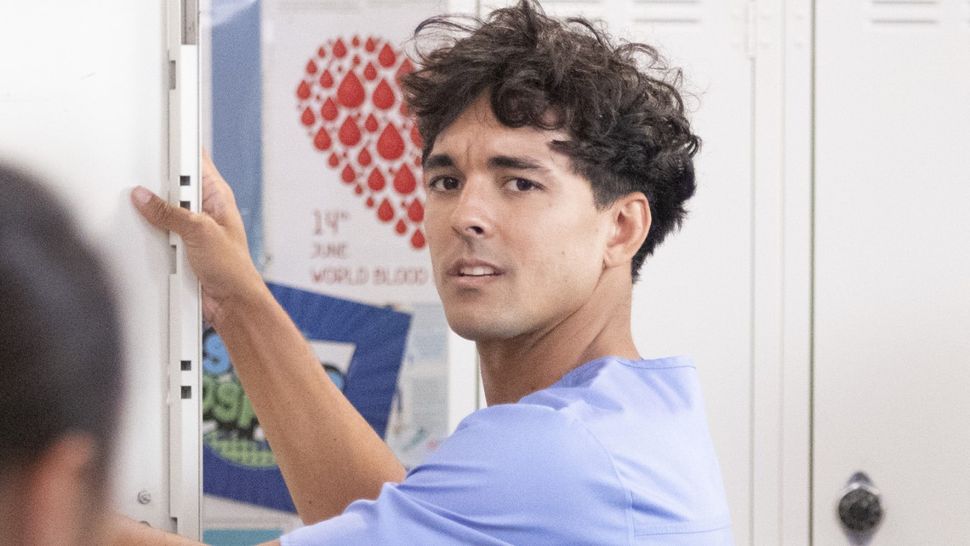 5 New Grey's Anatomy Cast Members In Season 19 And Where You've Seen ...