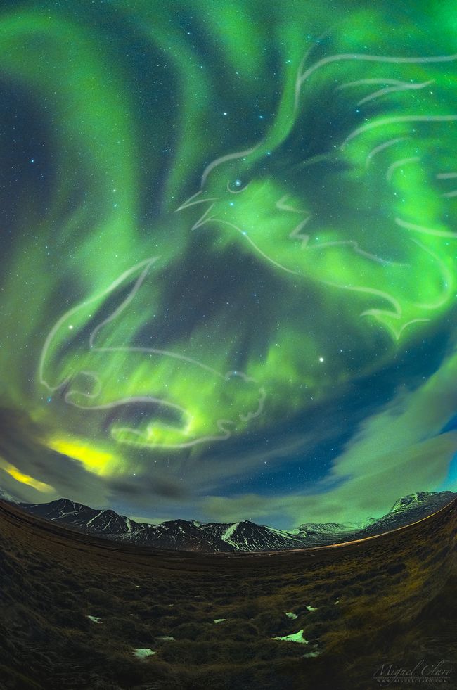 Bright Green Aurora Bird Takes Flight with a Running Rabbit Over ...