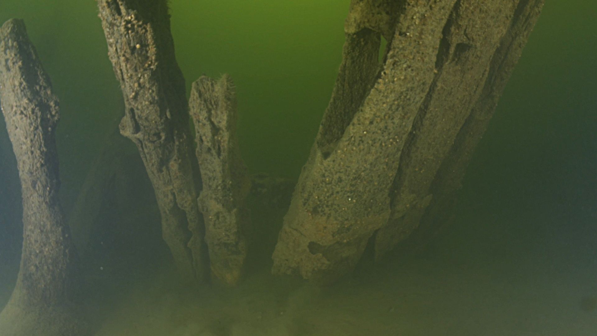 Scientists realize 'Viking' shipwreck is something else entirely | Live ...