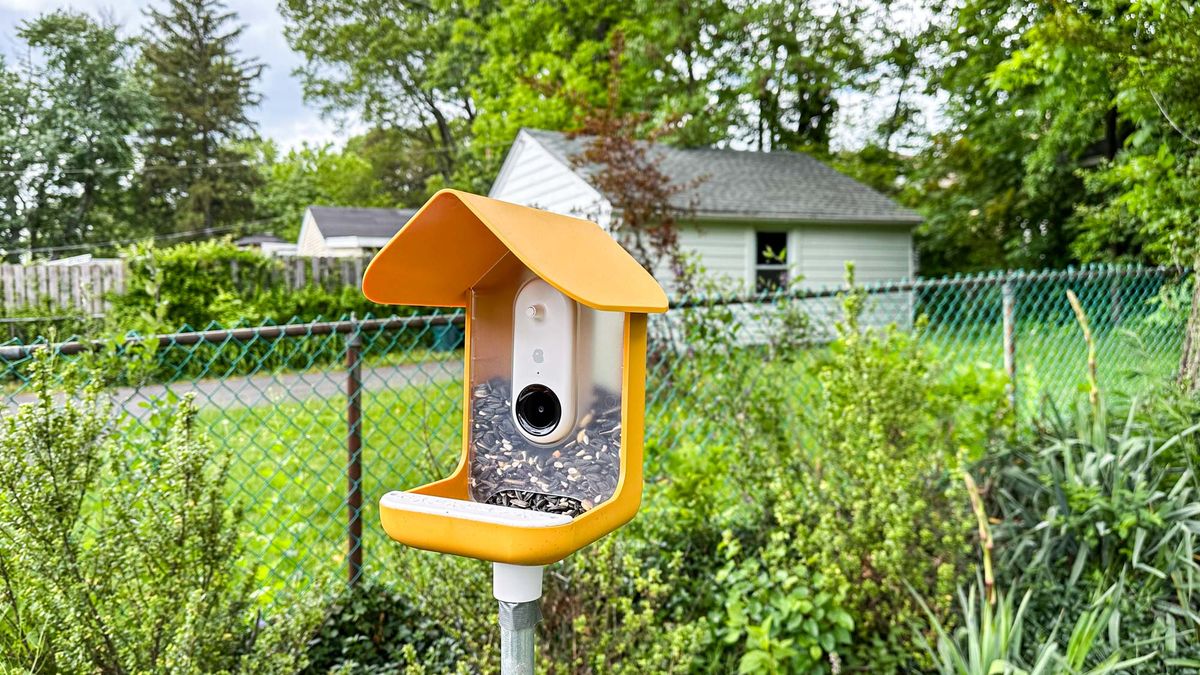 Bird Buddy review | Tom's Guide