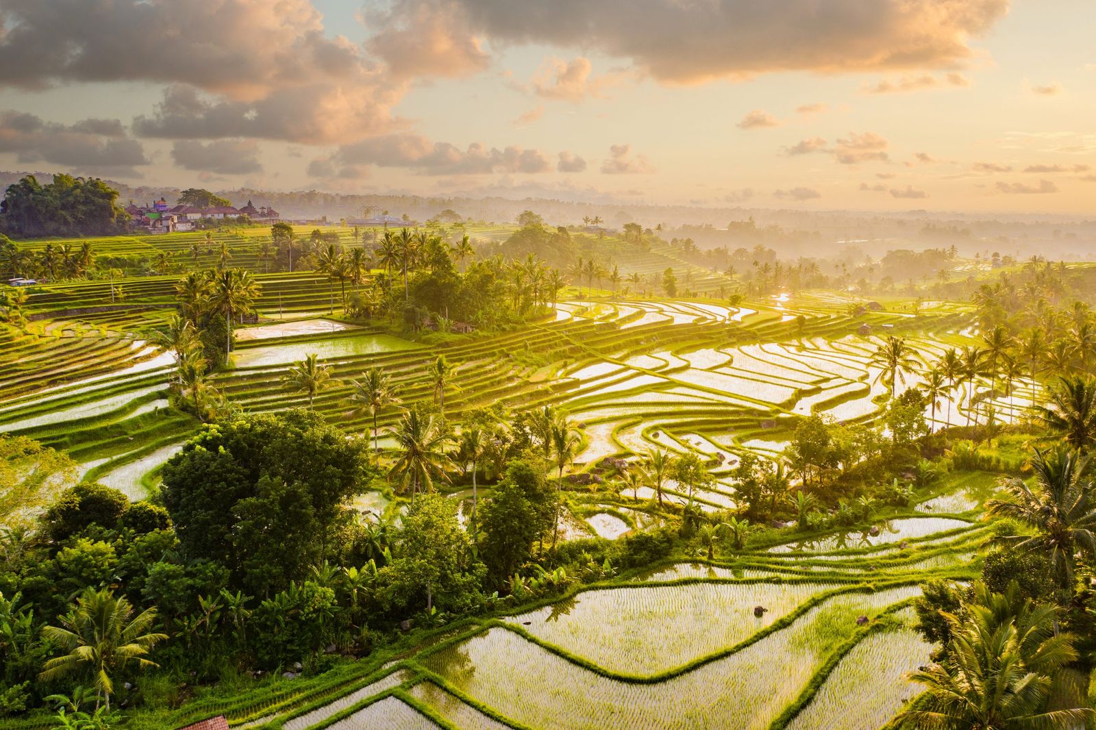 The Country Life guide to Bali: What to see, where to stay and what to ...