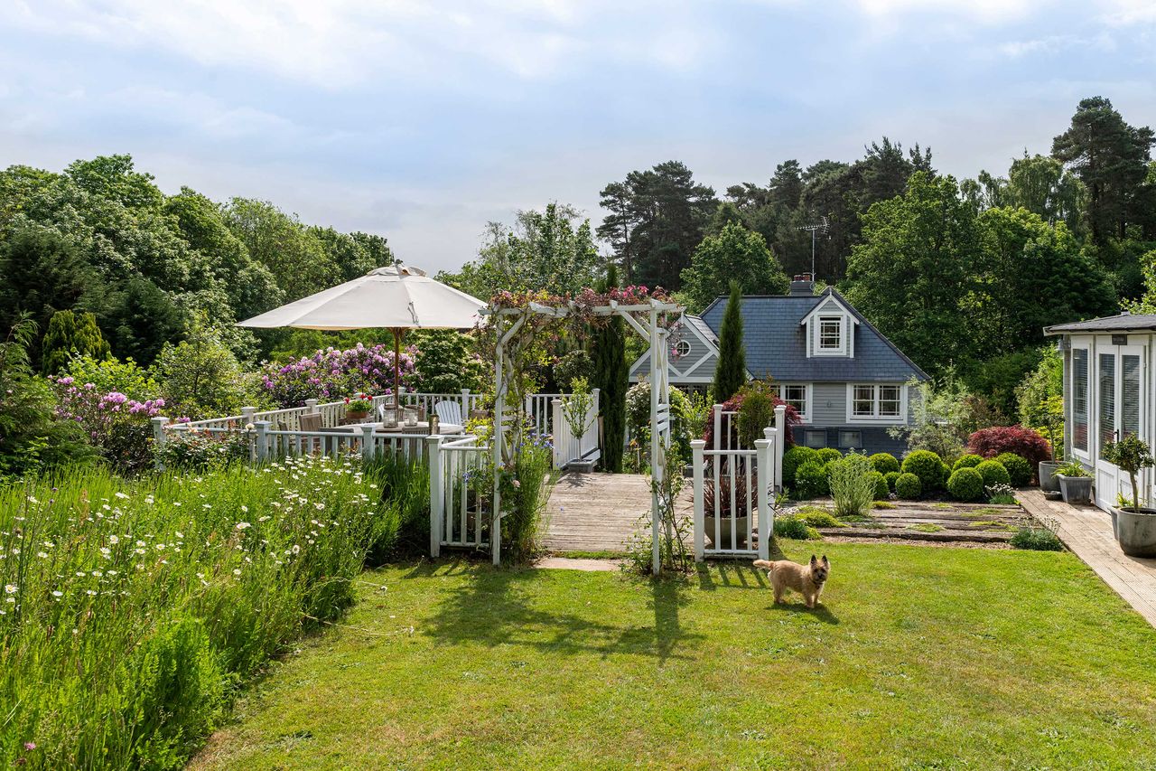 Eco landscaping ideas: 8 ways to make your garden sustainable and ...