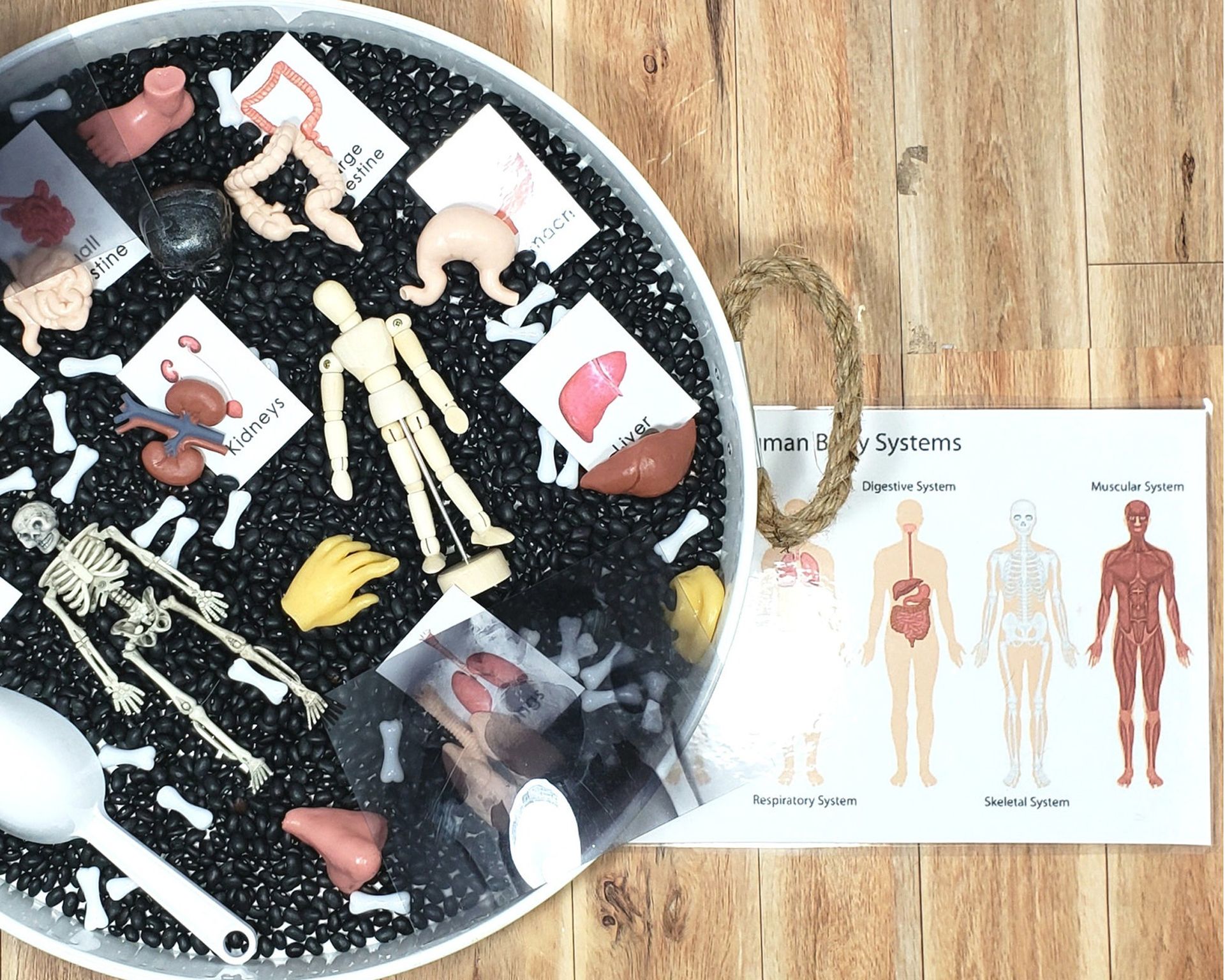 12 creative tuff tray ideas for fun and learning | Real Homes