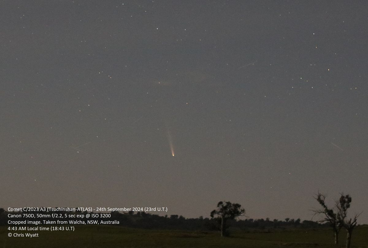 Comet Tsuchinshan-ATLAS may dazzle this weekend. But is the best yet to ...