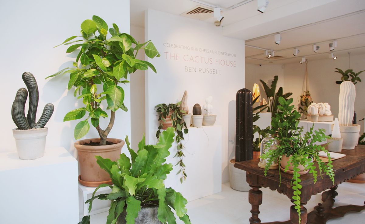 Home grown: Ben Russell brings a sculptural bent to cacti | Wallpaper*