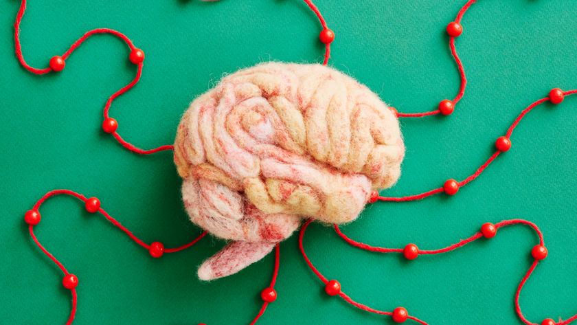 Will brain transplants ever be possible? | Live Science