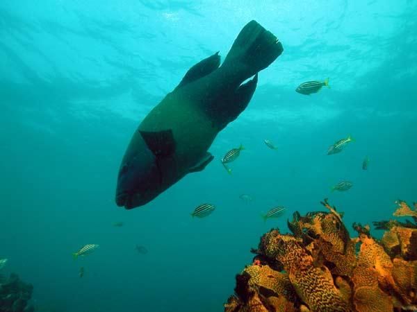 Ocean Ecosystems Transforming Due to Climate Change | Live Science