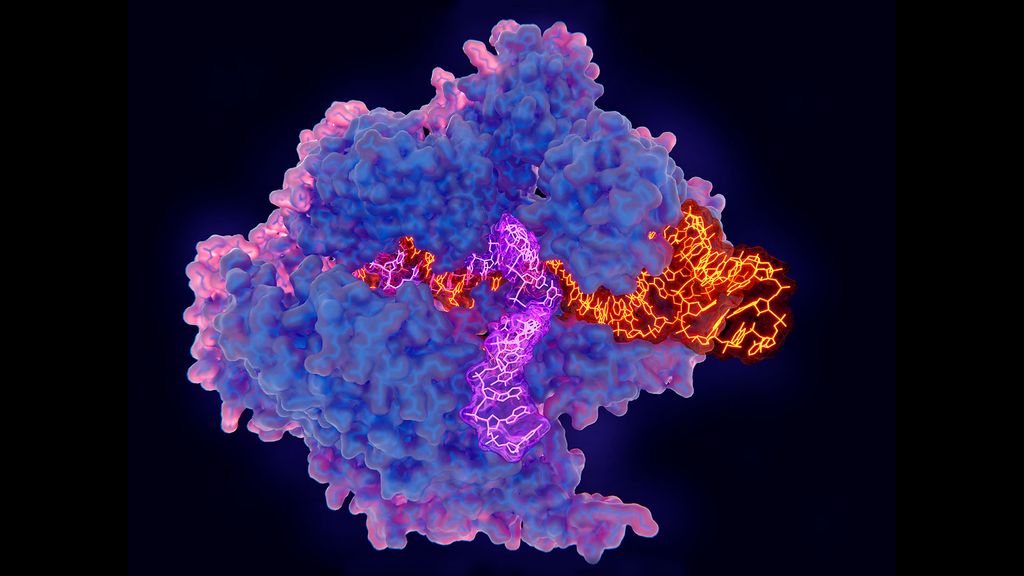 The world's 1st CRISPR therapy has been approved. Here's everything you ...