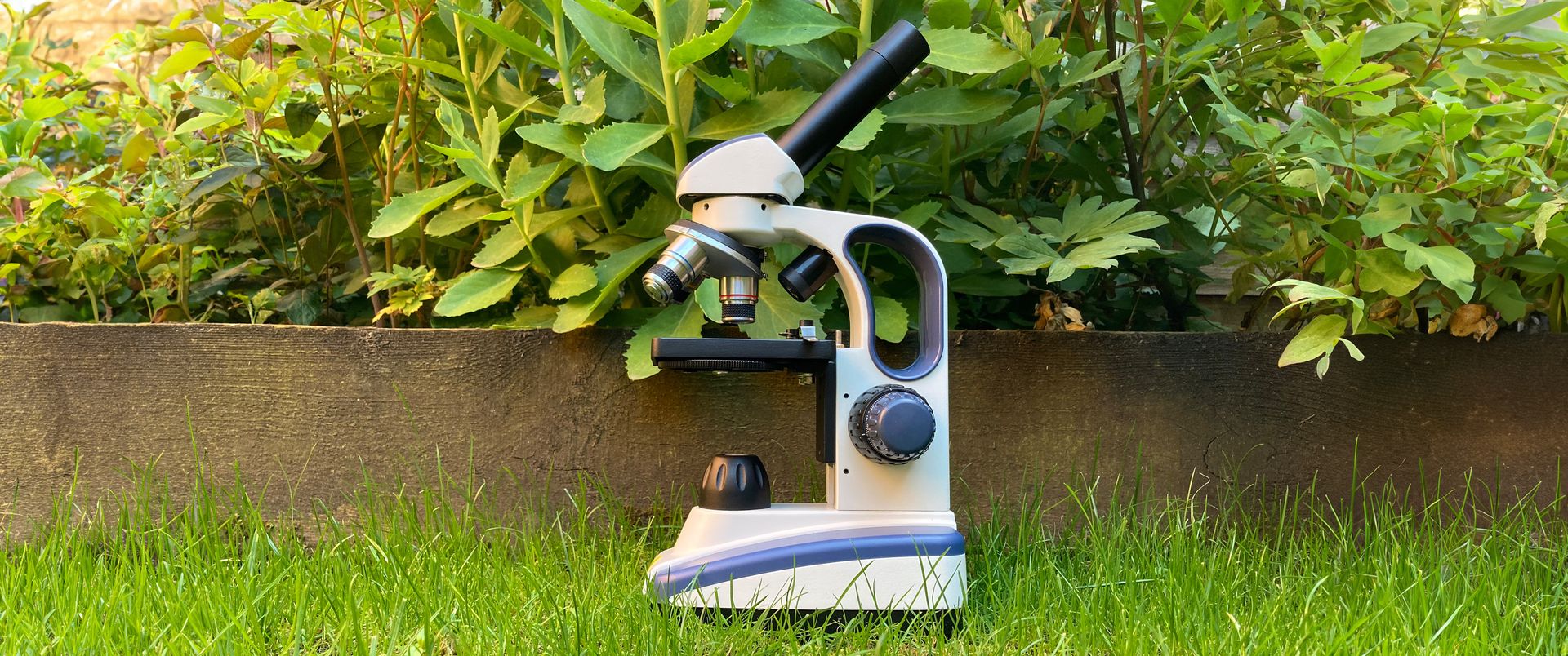 Swift SW200DL Compound Monocular Microscope Review | Live Science