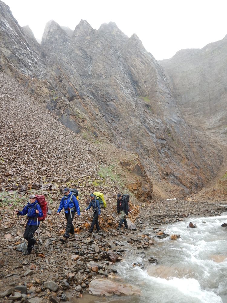 Photos: See the 1st Dinosaur Bones Ever Found in Alaska's Denali ...