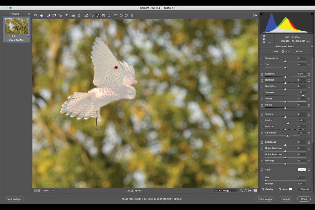 Video: how to photograph birds in flight | Digital Camera World